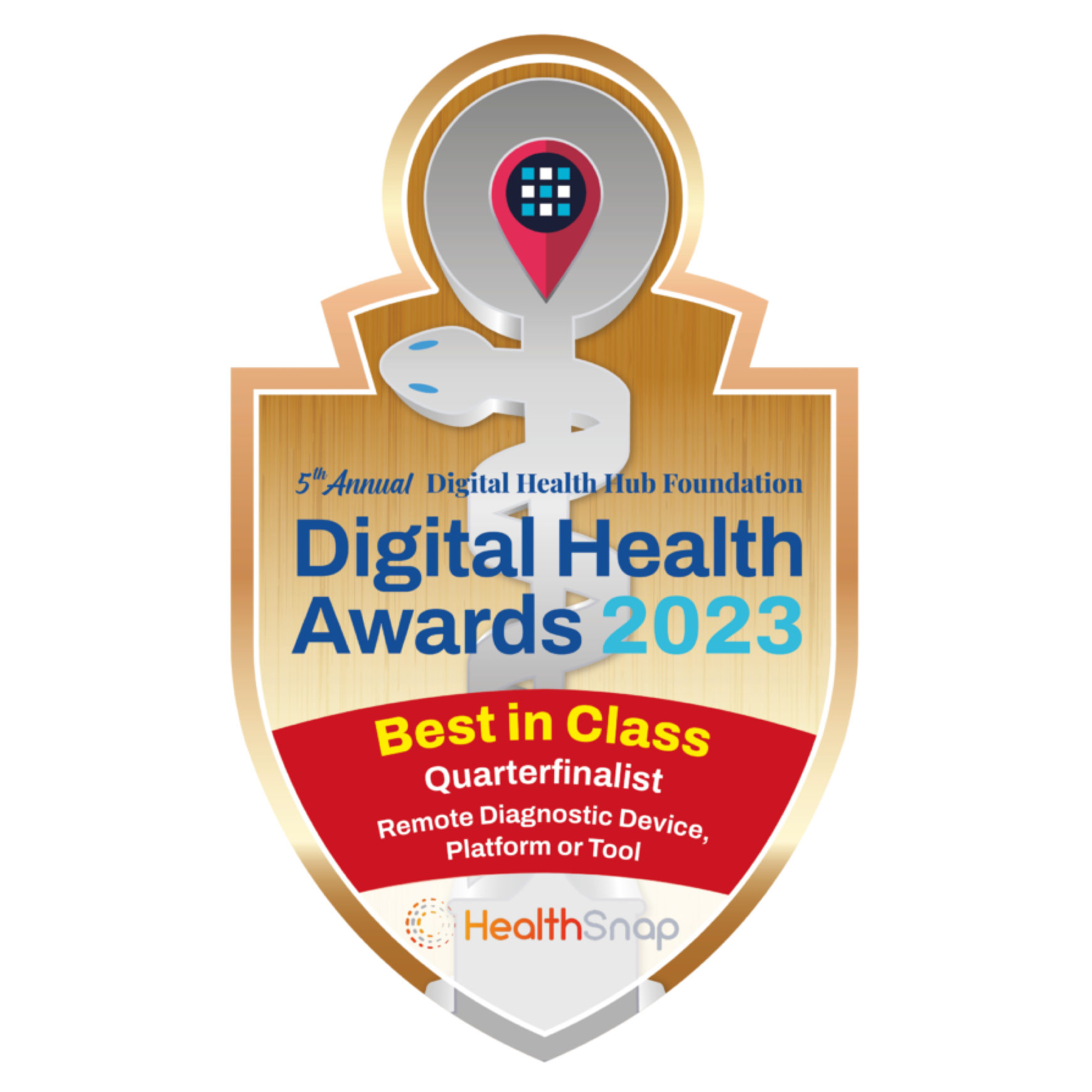 HealthSnap: RPM and CCM – Making it simple for healthcare providers to ...