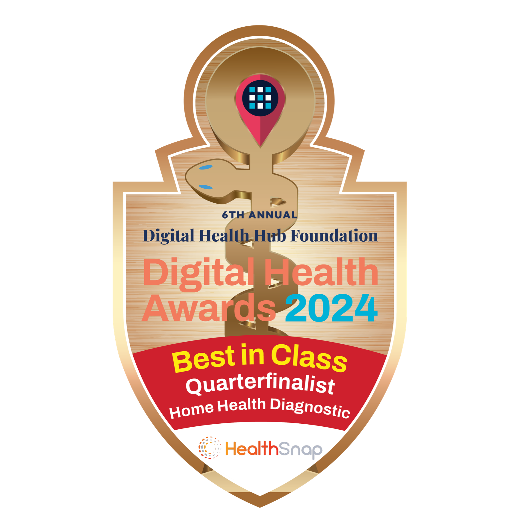 HealthSnap: RPM and CCM – Making it simple for healthcare providers to ...